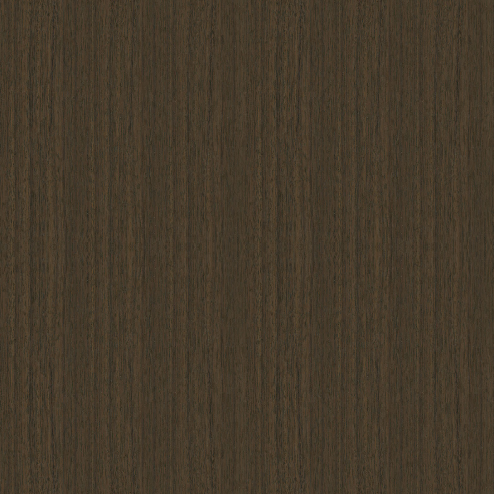 Surround + Case Interior